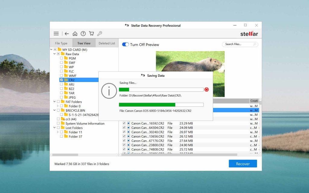 Stellar Data Recovery for Windows Review - A Hard Sell (2025)