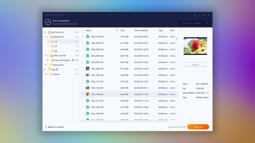 iBeesoft Data Recovery - A Likable Clone With Limited Features